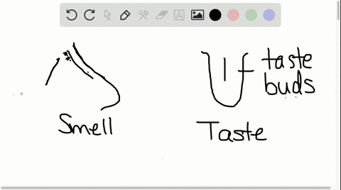 SOLVED: Jude is suffering from a severe cold. His nose has been stopped ...