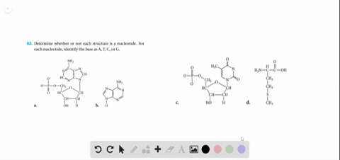 SOLVED:Determine whether or not each structure is a nucleotide. For each nucleotide, identify ...