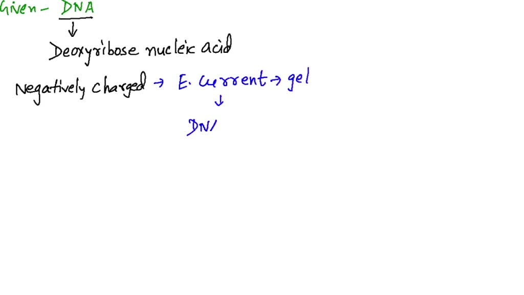 SOLVED:Is a DNA molecule neutral, negatively charged, or positively ...