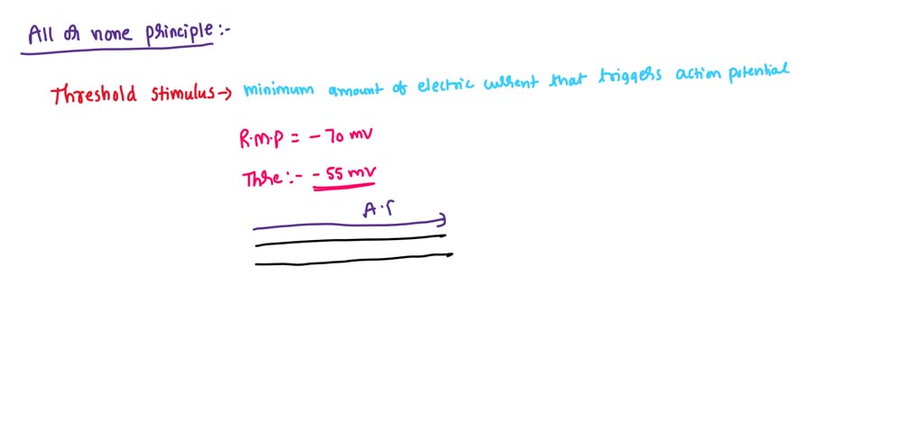 SOLVED:State the all-or-none principle of action potentials.