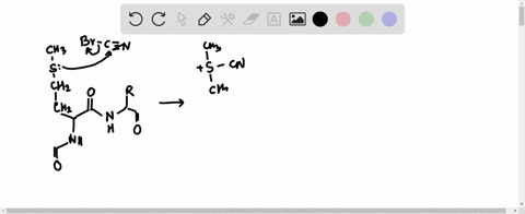 SOLVED:A decapeptide undergoes partial hydrolysis to give peptides ...
