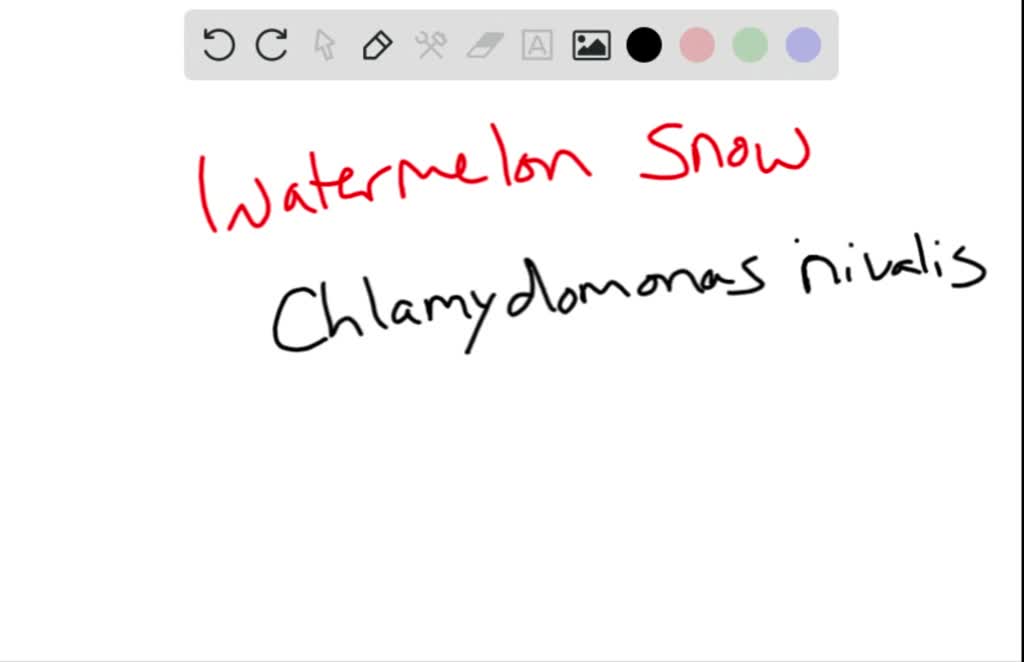 SOLVED:"Watermelon snow" in Antarctica is caused by a certain species ...