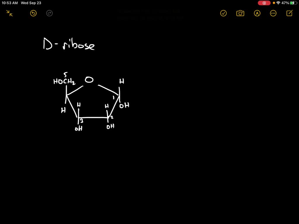 SOLVED:Draw cyclic structures for D-ribose and D-mannose.
