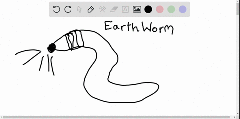 SOLVED:Earthworms, which are substrate feeders, a. feed mostly on ...