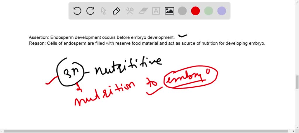 SOLVED:Assertion: Endosperm development occurs before embryo ...