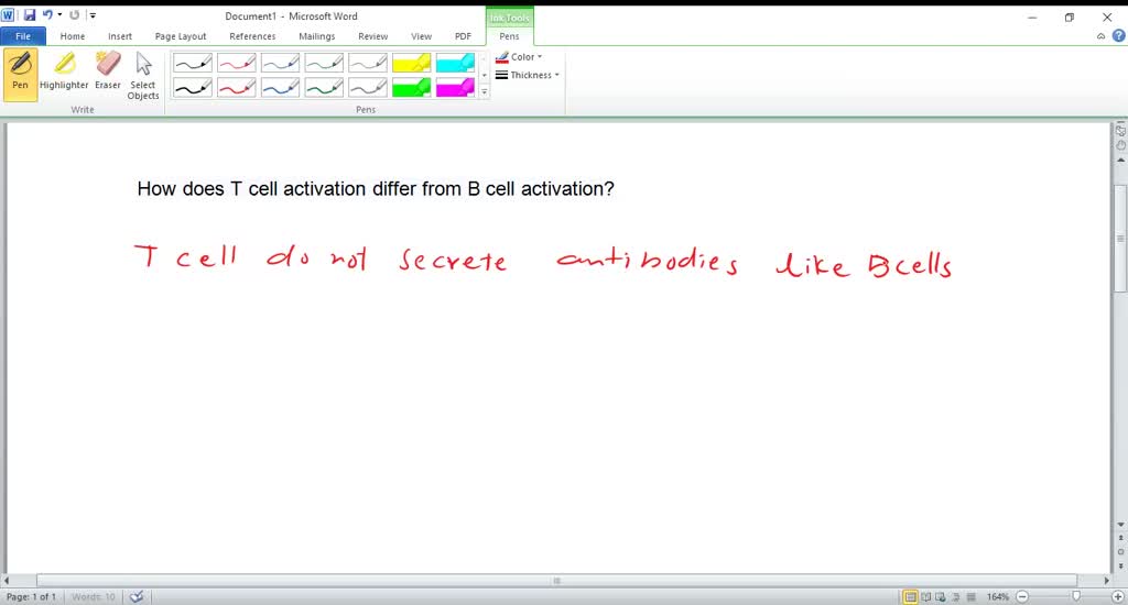 How does T cell activation differ from B cell activation? | Numerade