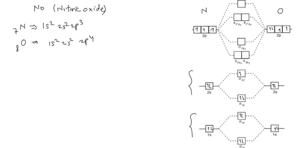 Bond order of nitric oxide is (a) 1 (b) 2.5 (c) 2 (d) 1.5 | Numerade