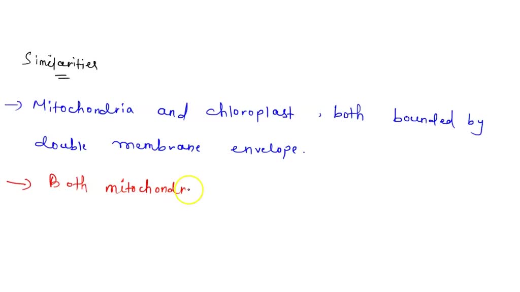What are three similarities between mitochondria and chloroplasts ...
