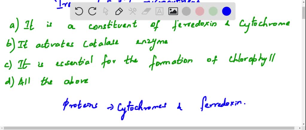 ⏩SOLVED:The absence of iron could prevent a plant from synthesizing… | Numerade