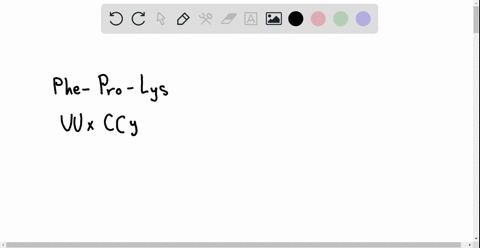 SOLVED:Using Figure 17.5, identify a 5^' →3^' sequence of nucleotides in the DNA template strand ...