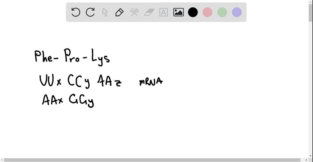SOLVED:Using Figure 17.5, identify a 5^' →3^' sequence of nucleotides in the DNA template strand ...