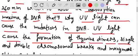 SOLVED:A genetics instructor designs a laboratory experiment to study ...