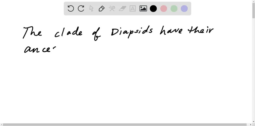 SOLVED:Which clade does not include humans? a. synapsids b. lobe-fins c ...