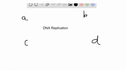 SOLVED:What lambda DNA sequences are used in the Gateway cloning ...