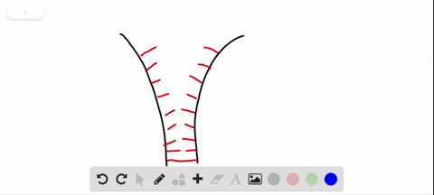 ⏩SOLVED:During denaturation of DNA, which of the following happens ...