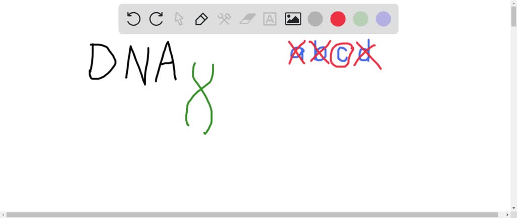 SOLVED:The threadlike structures made largely of DNA molecules are ...