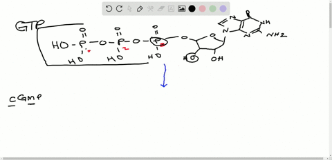 SOLVED:The formation of cyclic AMP is described in Section 23.5. Show ...