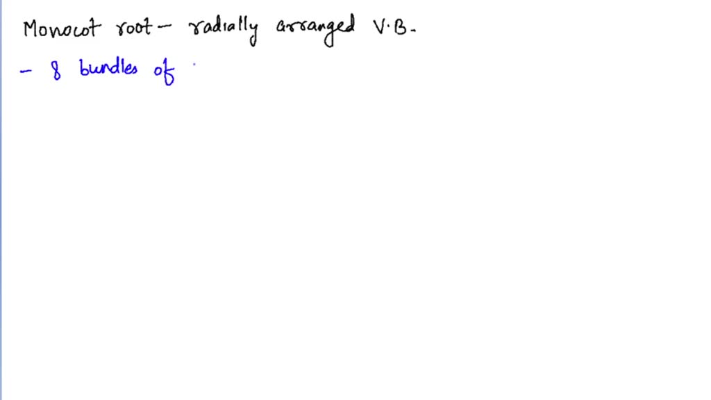 The polyarch condition is seen in (a) Monocot stem (b) Monocot root (c ...