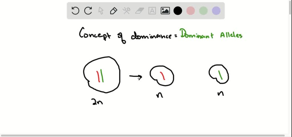 SOLVED:Explain hemisphere dominance.