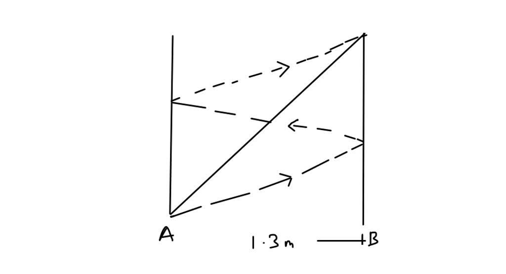 ⏩SOLVED:Two trees have perfectly straight trunks and are both… | Numerade