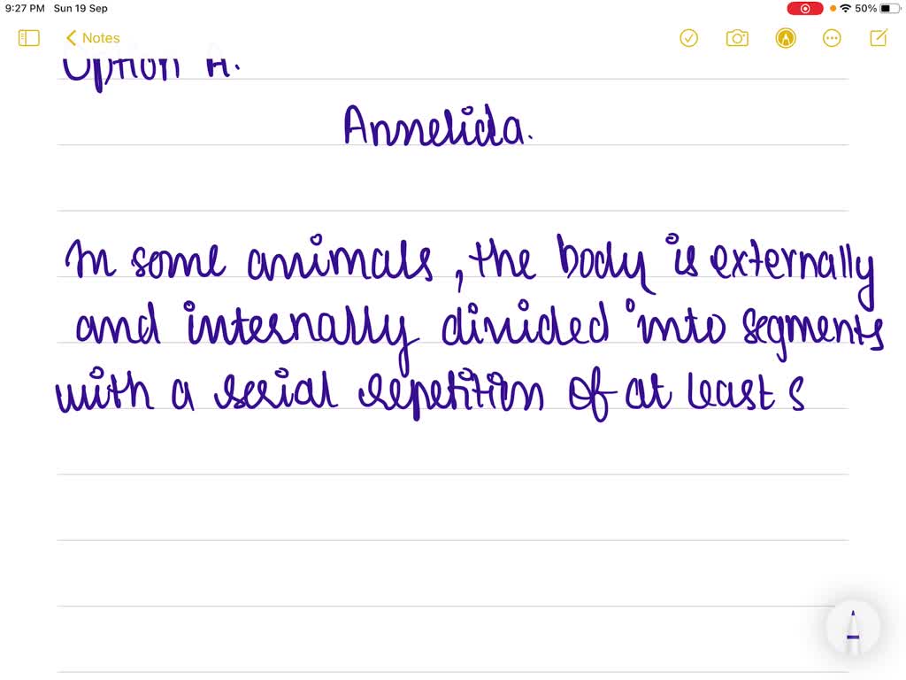 SOLVED:Metameric segmentation is found in (a) Annelida (b) Arthropod (c ...