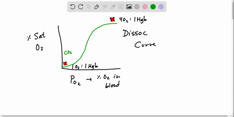 SOLVED:During athletic training, the oxygen-hemoglobin dissociation ...