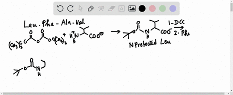 SOLVED:Show the steps in the synthesis of the tetrapeptide Leu-Phe-Ala-Val.