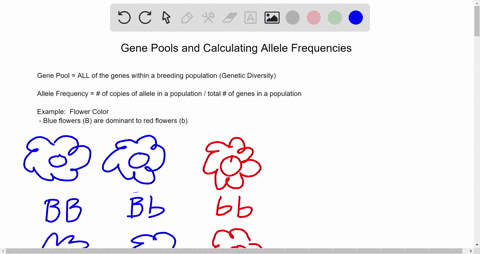 SOLVED:What is a gene pool? How would you determine the allele ...