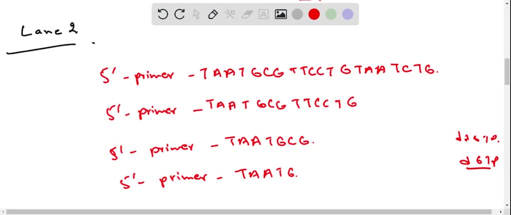 Predicting a Sanger Sequencing Pattern The oligonucleotide ...