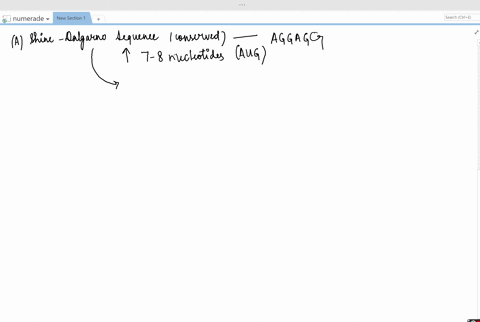 SOLVED:(a) What is the function of the Shine-Dalgarno sequence in ...