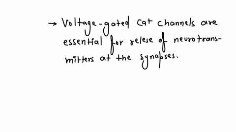 SOLVED:Watch this video (http://openstaxcollege.org/I/ neurotrans) to learn about the release of ...