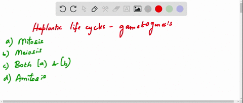 SOLVED:Gametogenesis in organism showing haplontic life cycle takes ...