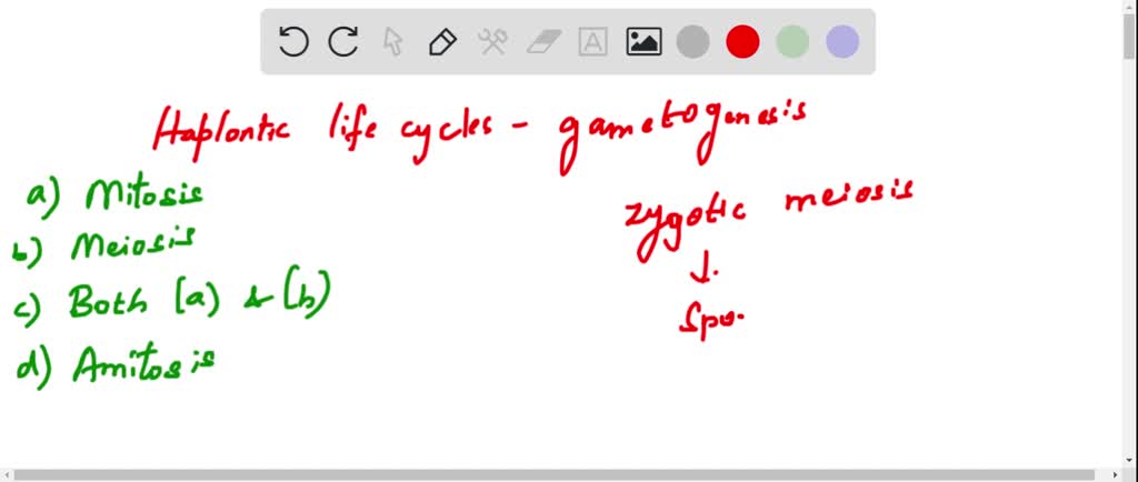 SOLVED:Gametogenesis in organism showing haplontic life cycle takes ...