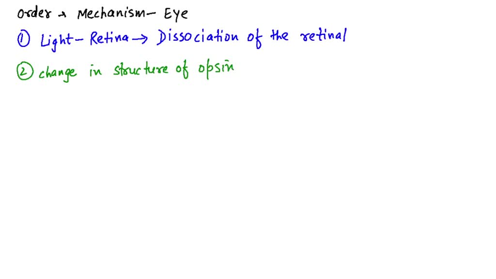 Arrange the following steps of mechanism of vision in order. (1) Light ...