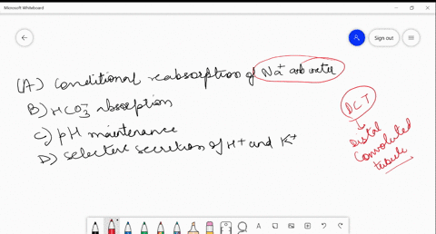 SOLVED:DCT helps in (A) Conditional reabsorption of Na^+ and water (B) HCO 3^- absorption (C) pH ...