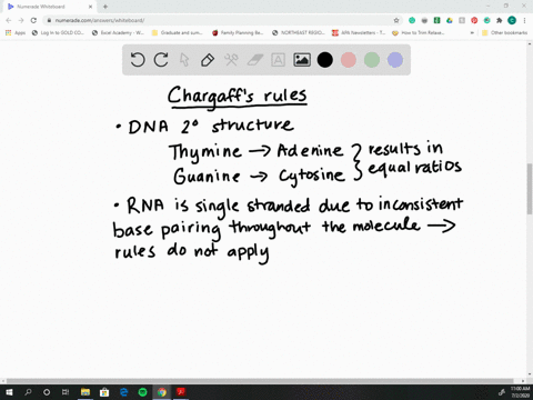 SOLVED:Explain how Chargaff's rules relate to the complementary base ...