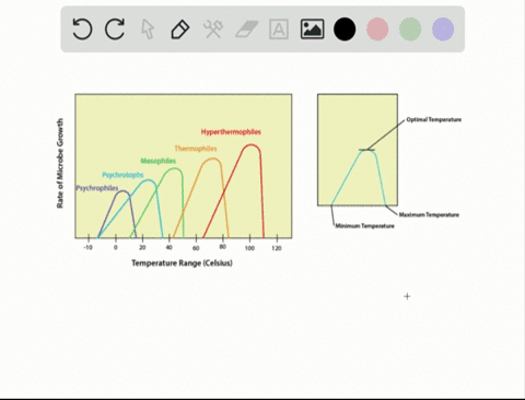 SOLVED:The organisms which can tolerate and thrive in a wide range of ...
