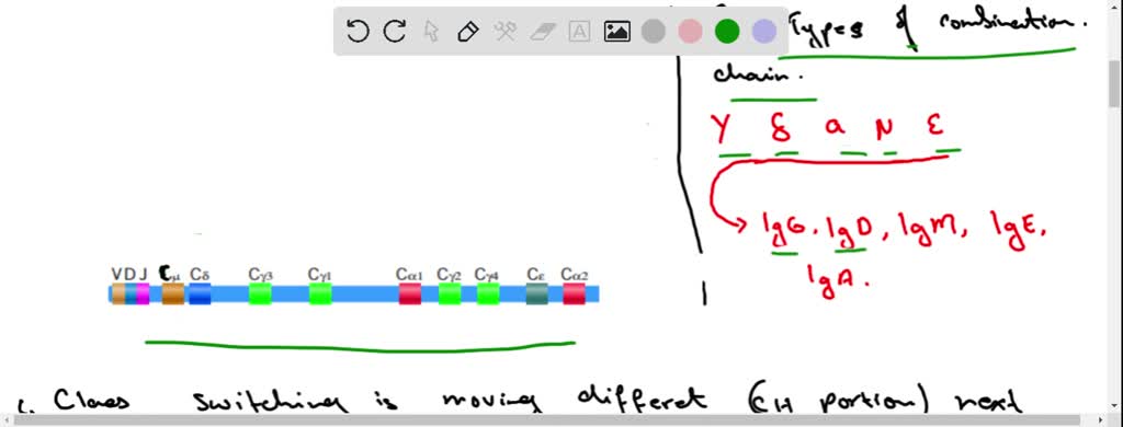 ⏩SOLVED:How does an IgG molecule differ from an lgM molecule and an… | Numerade