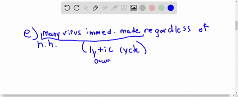 SOLVED:In the lysogenic cycle of a bacteriophage, a a repressor, cI ...