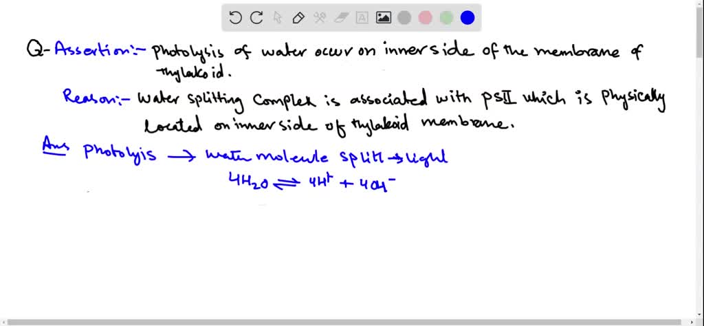 SOLVED:Assertion: Photolysis of water occur on inner side of the ...