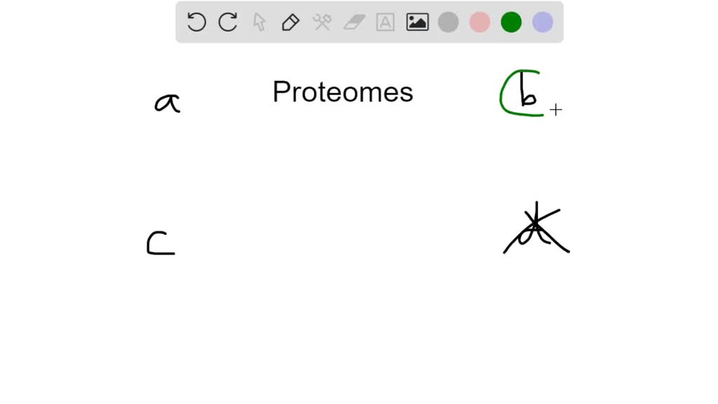 ⏩solved The Proteome Differs From The Phenome Because A The… Numerade
