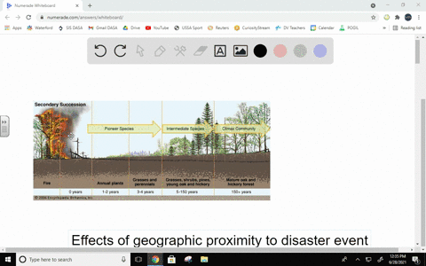 ⏩SOLVED:Which type of ecological succession do you think occurred in ...