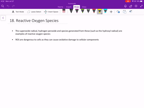 SOLVED:What are the reactive oxygen species and why are they especially ...