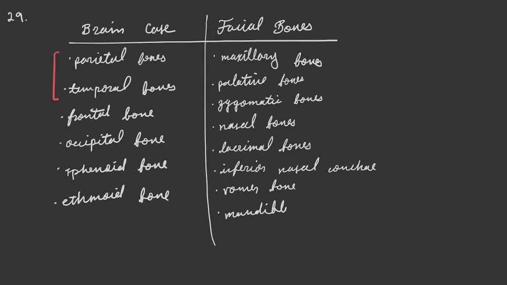SOLVED:Define and list the bones that form the brain case or support ...