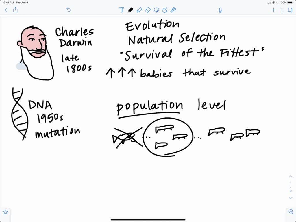SOLVED:Darwin suggested that evolution takes place by (a) mutation (b ...