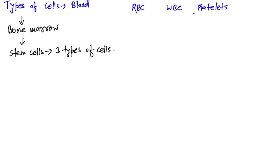 SOLVED: Name two common types of secondary cells. | Numerade