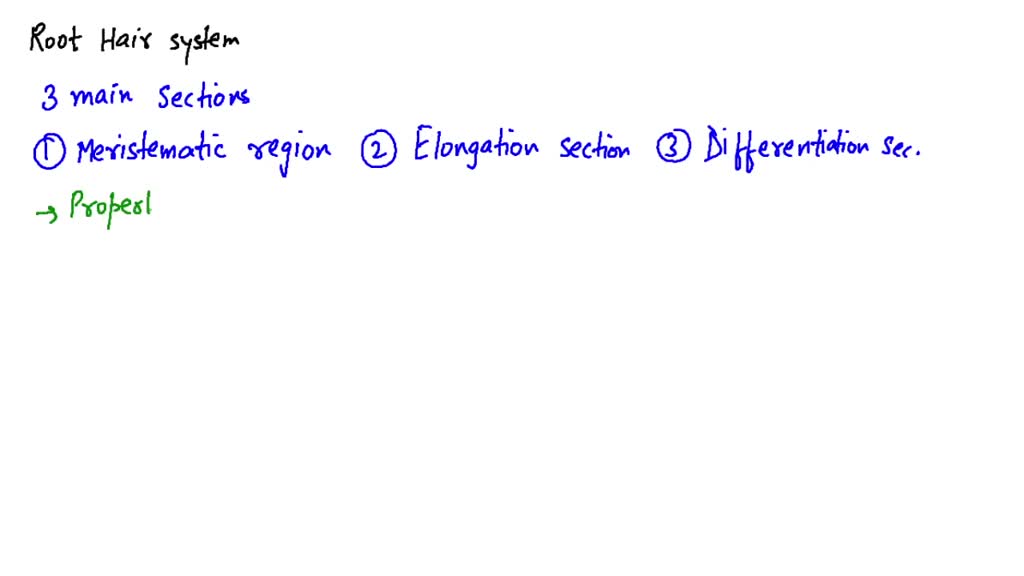 SOLVED:What indicates A to E in the below figure.(a) A-Region of ...