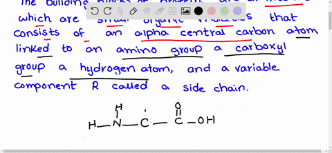 Elemental Makeup Of Proteins - Makeup Vidalondon