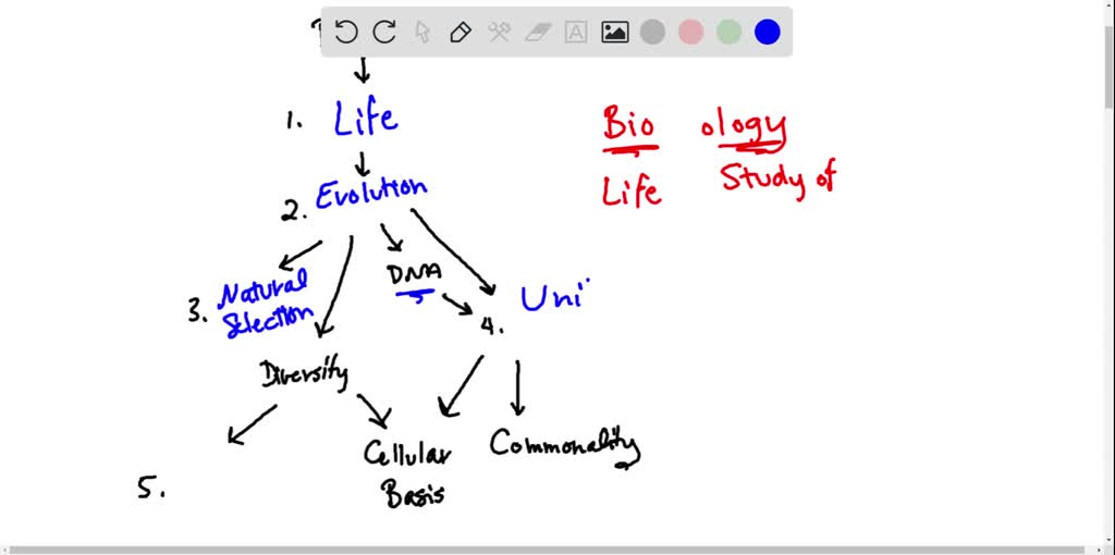 Complete the following map organizing some of biology's major concepts ...