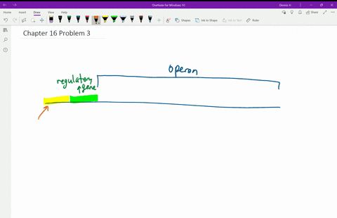 SOLVED:Draw a picture illustrating the general structure of an operon ...